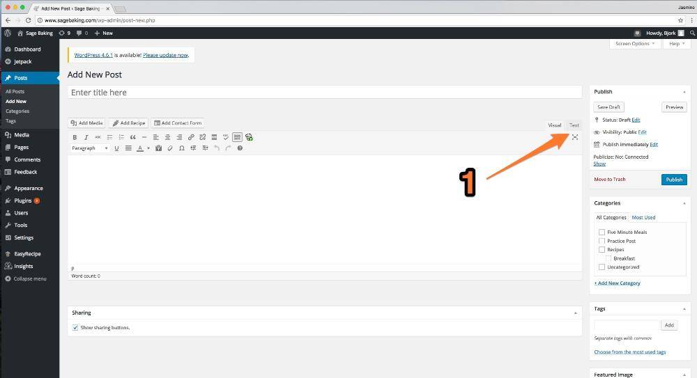 How Do I Post A Text Link Or Banner In A Blog Post WP Tasty